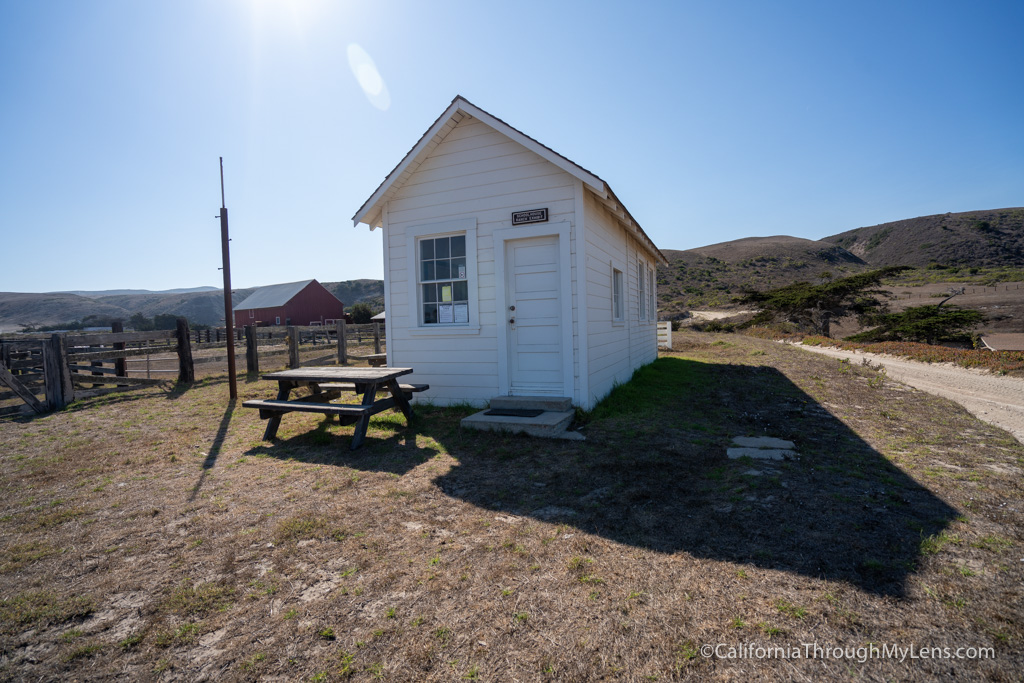 Santa Rosa Island Day Trip: Channel Island National Park - California ...