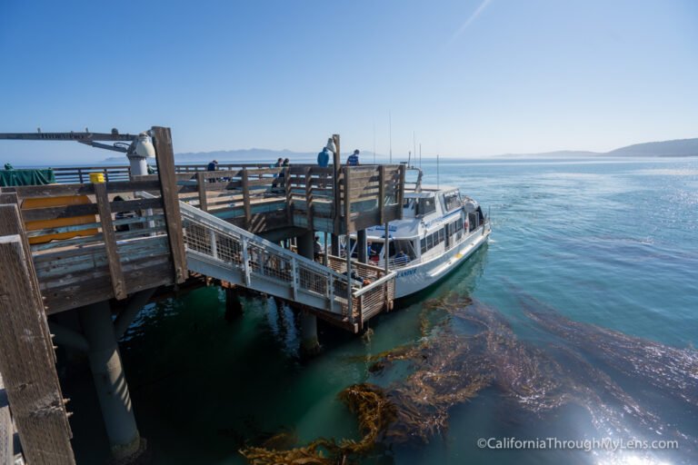 Santa Rosa Island Day Trip: Channel Island National Park - California ...