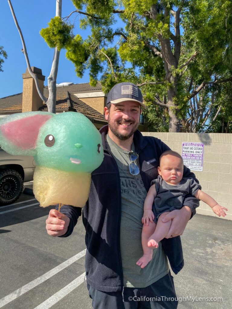 Polar Playground: Crazy Cotton Candy Art in Orange County - California Through My Lens