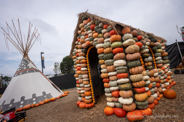 5 Great Southern California Pumpkin Patches to visit near Los Angeles ...