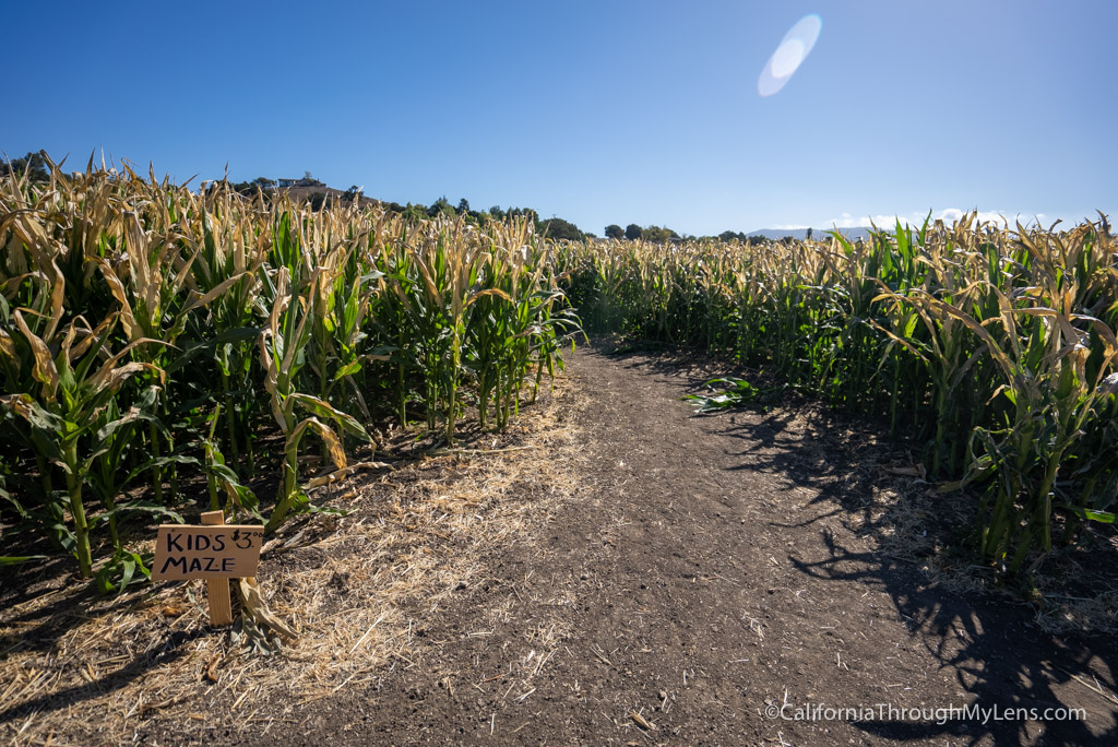 Solvang Farmer Pumpkin Patch in California's Danish Town - California ...