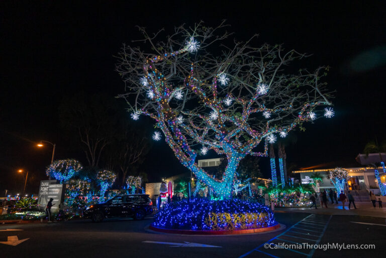 Dana Point Holidays At The Harbor Christmas Lights Display - California ...