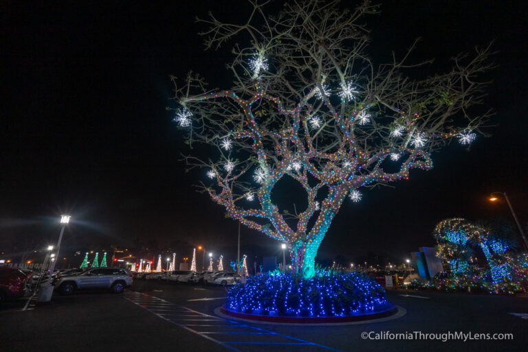 Dana Point Holidays At The Harbor Christmas Lights Display - California ...