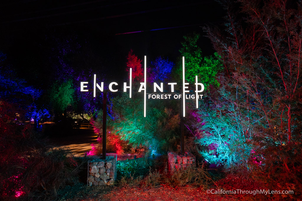 Descanso Gardens: Enchanted Forest of Lights Christmas Lights Display ...