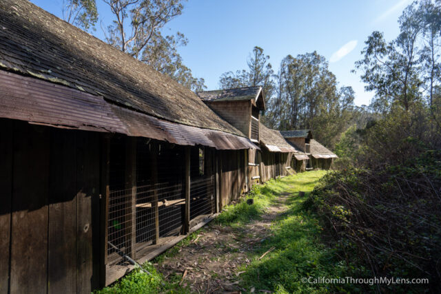 Burleigh H. Murray Ranch State Park: Exploring the Historic Mill Barn ...