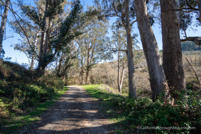 Burleigh H. Murray Ranch State Park: Exploring the Historic Mill Barn ...