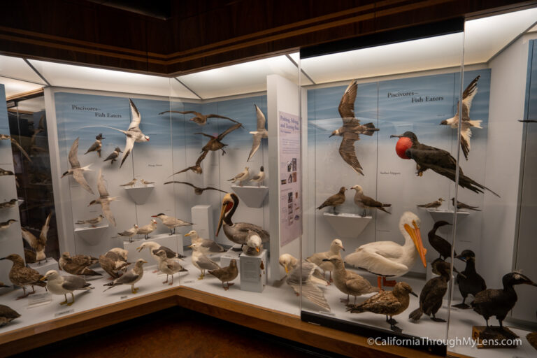 19 Things to do in Santa Barbara: Hikes, Restaurants, Beaches and ...