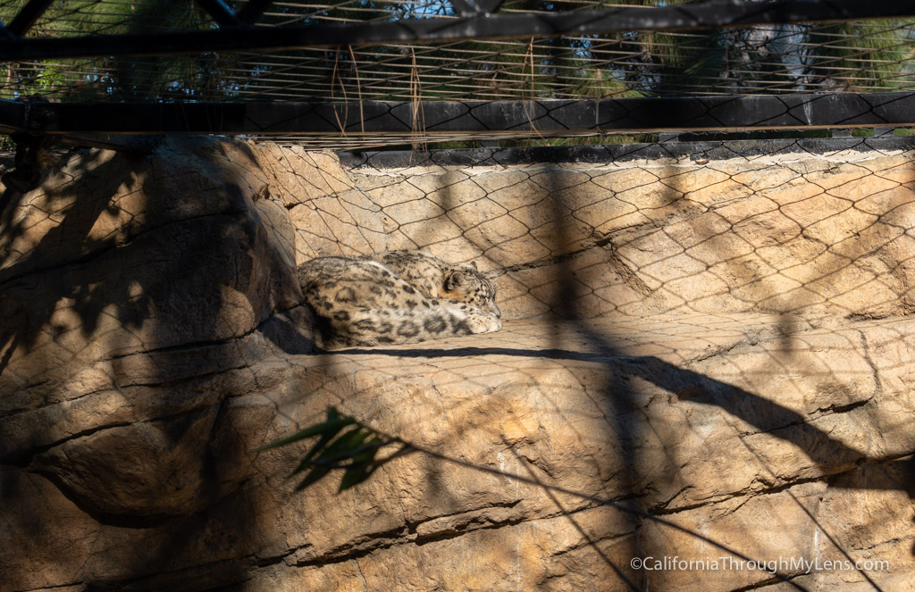 Santa Barbara Zoo: One of the Better Small Zoos in California ...
