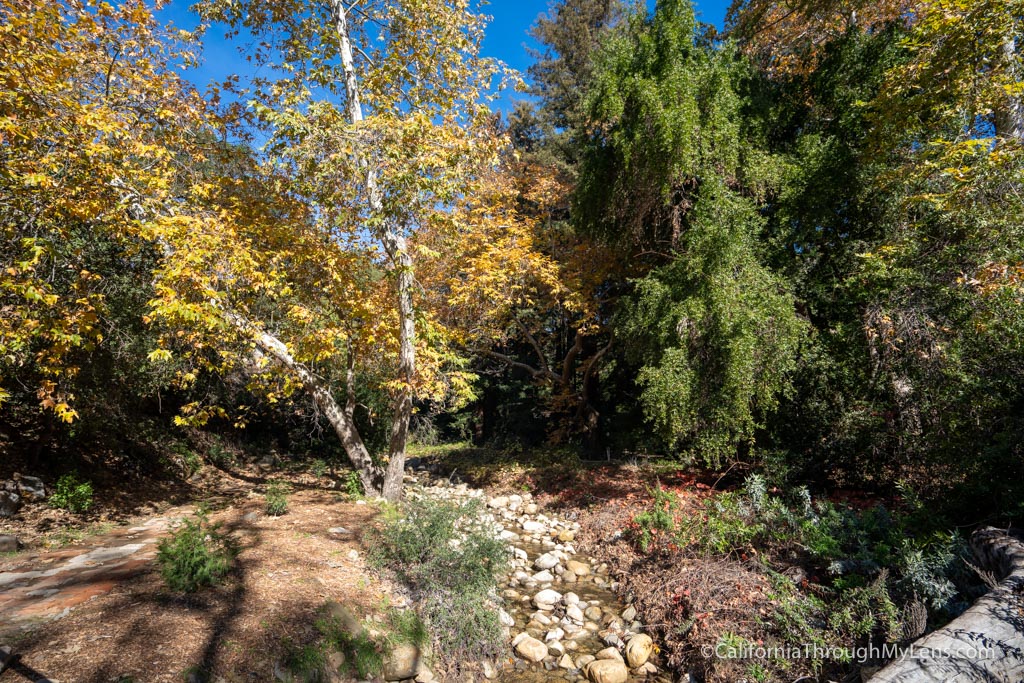 Santa Barbara Botanical Gardens - California Through My Lens