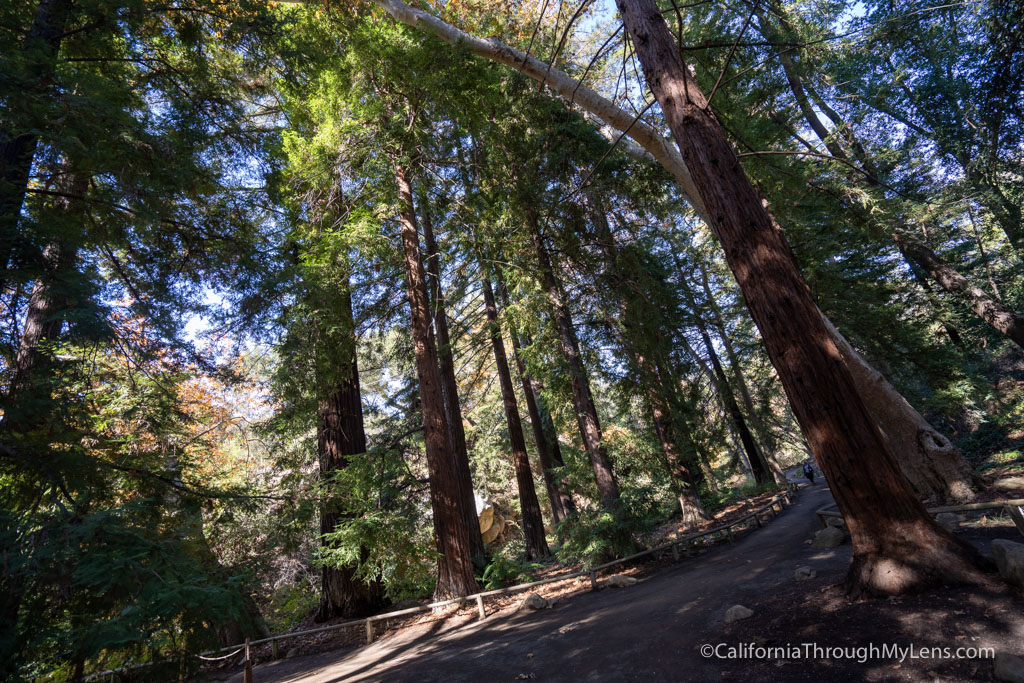 Santa Barbara Botanical Gardens - California Through My Lens