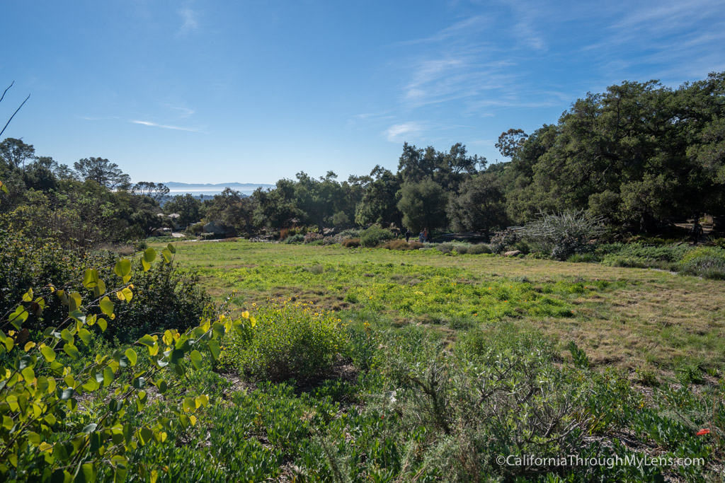 Santa Barbara Botanical Gardens - California Through My Lens
