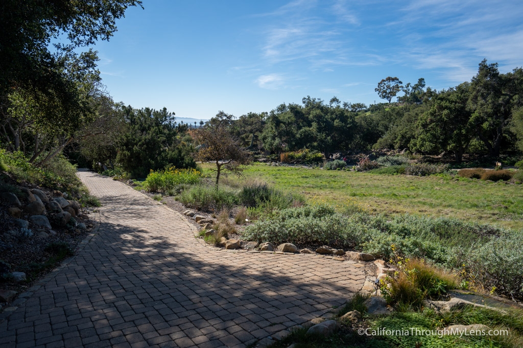 Santa Barbara Botanical Gardens - California Through My Lens