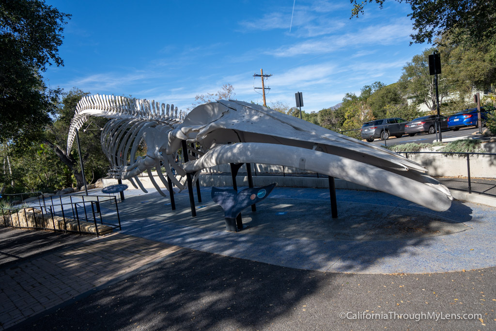 Santa Barbara Museum of Natural History - California Through My Lens