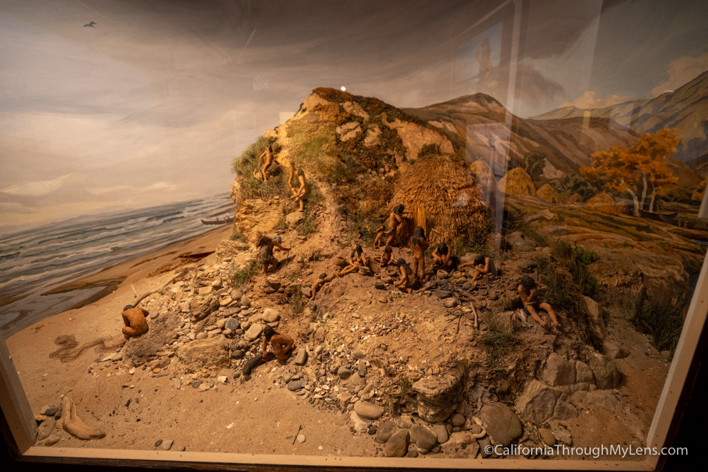 Santa Barbara Museum of Natural History - California Through My Lens