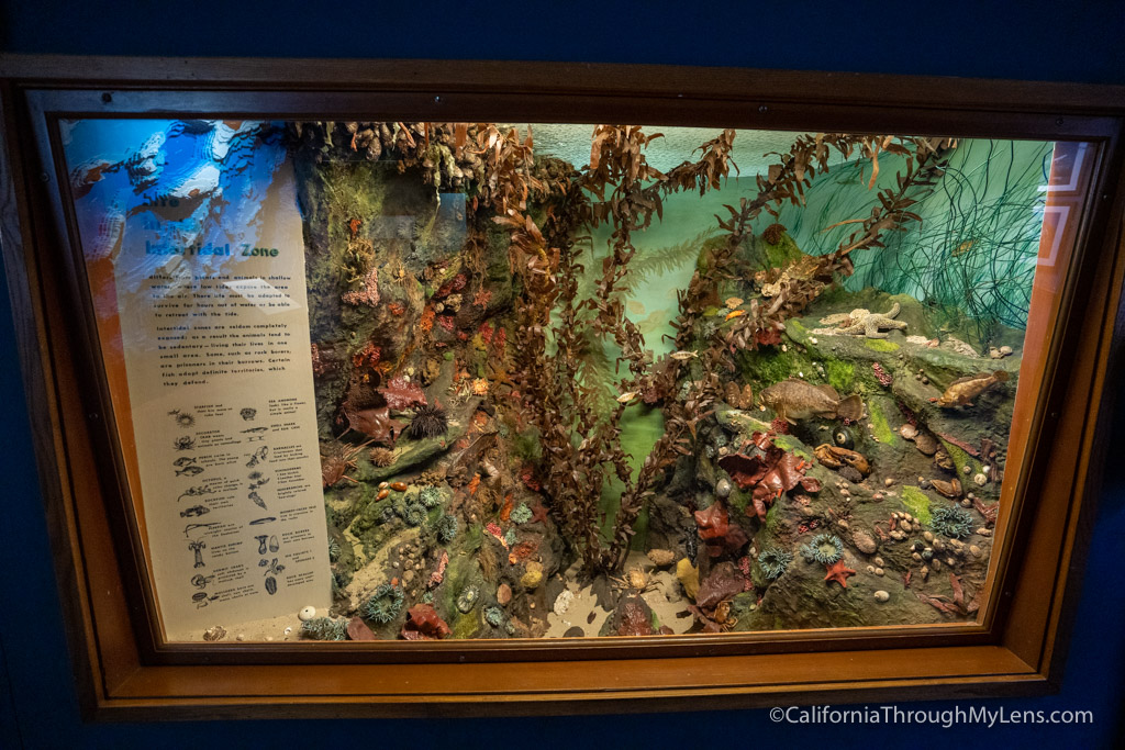 Santa Barbara Museum of Natural History - California Through My Lens