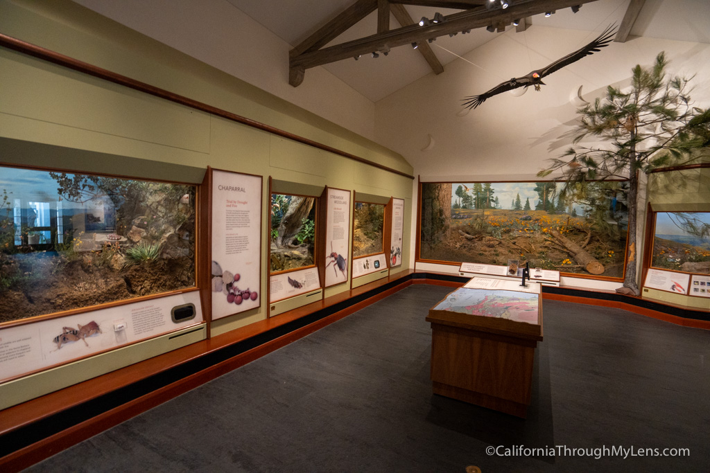 Santa Barbara Museum of Natural History - California Through My Lens