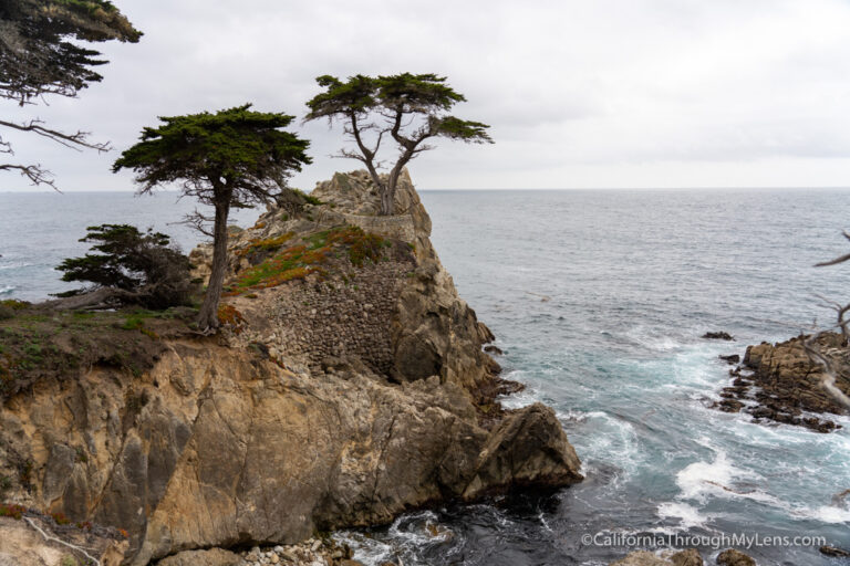 12 Things to do in Monterey - California Through My Lens