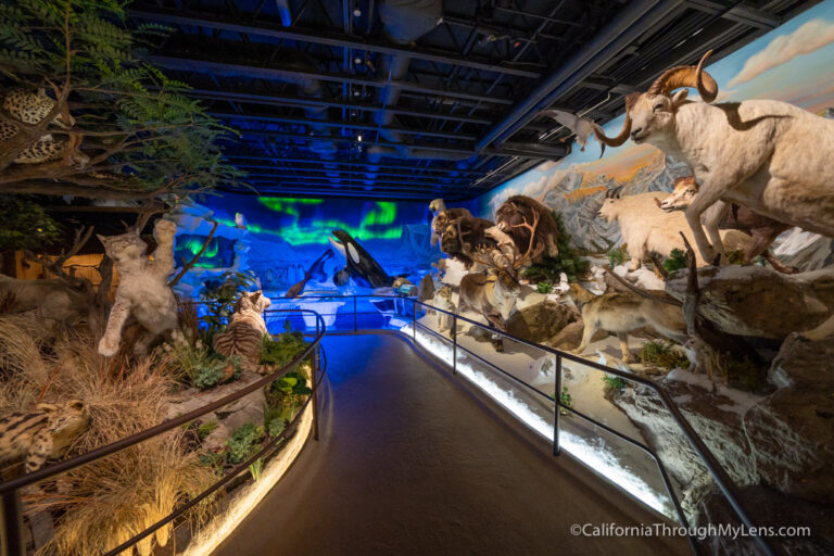 Tri-Valley Things to Do: Exploring 22 Spots in Livermore, Danville ...