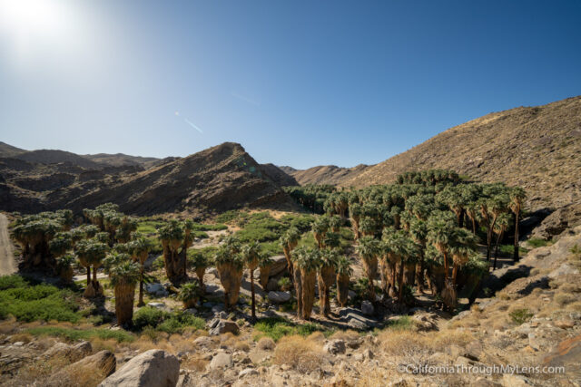 Indian Canyons: Hiking Palm Canyon and Andreas Canyon - California ...