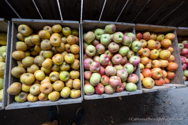 Anderson Valley: A Weekend Exploring Restaurants, Redwoods & Wineries ...