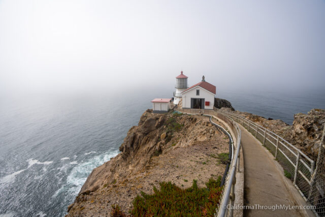 How to spend the perfect 24 hours in Point Reyes National Seashore ...