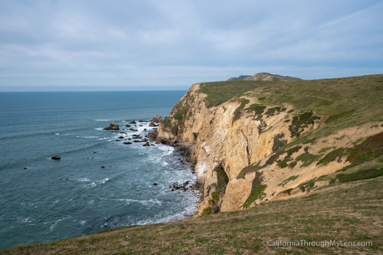 How to spend the perfect 24 hours in Point Reyes National Seashore ...