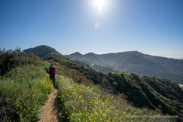 Dana Point Sea Caves: Hiking to Pirate's Cave - California Through My Lens