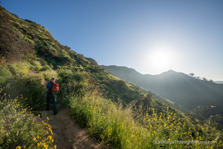 Griffith Park Traverse: Hiking 11 Peaks Across the Park - California ...