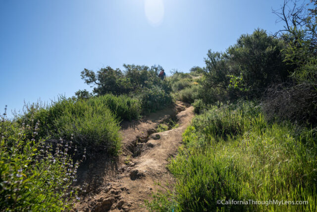 Griffith Park Traverse: Hiking 11 Peaks Across the Park – Fergy's Travel