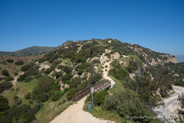 Griffith Park Traverse: Hiking 11 Peaks Across the Park - California ...