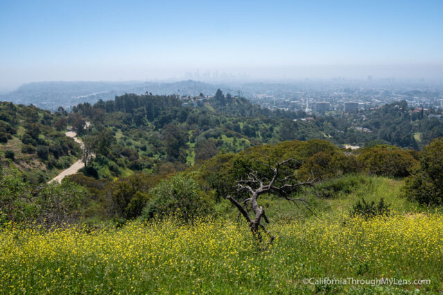 Griffith Park Traverse: Hiking 11 Peaks Across the Park - California ...