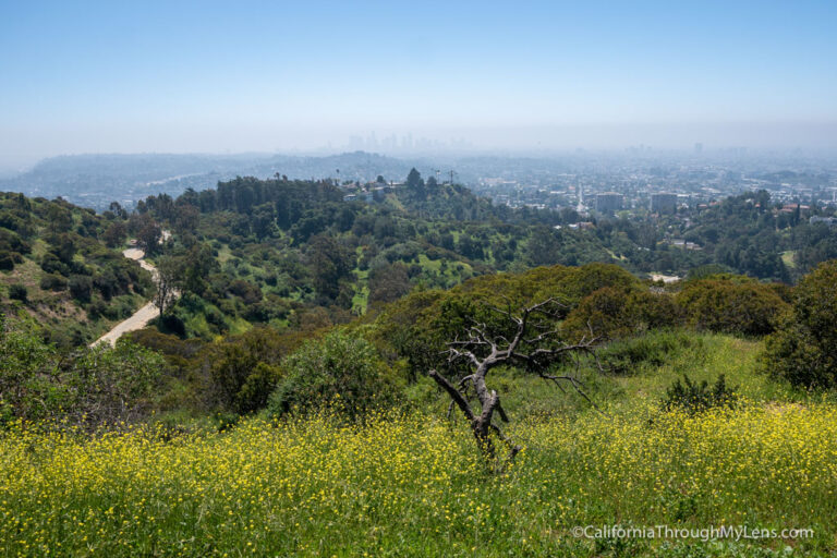 Griffith Park Traverse: Hiking 11 Peaks Across the Park - California ...
