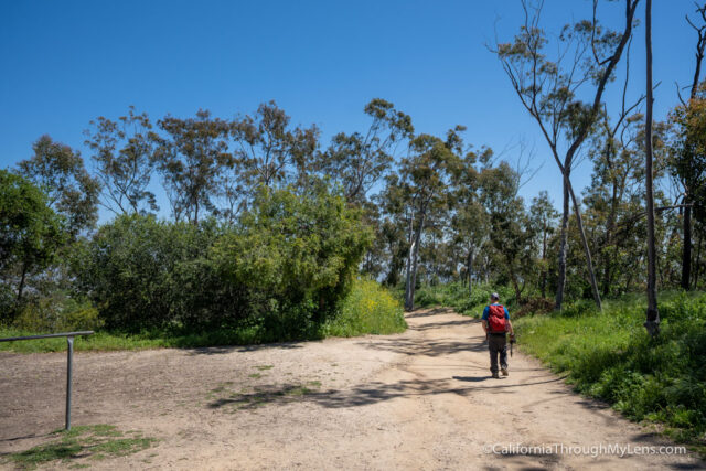 Griffith Park Traverse: Hiking 11 Peaks Across the Park - California ...