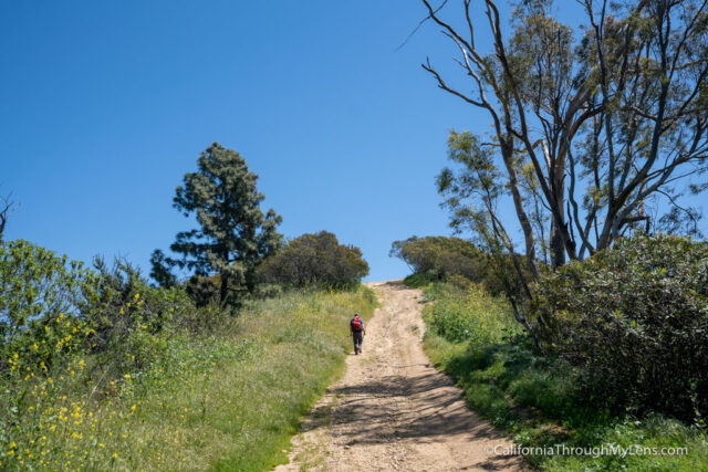 Griffith Park Traverse: Hiking 11 Peaks Across the Park - California ...