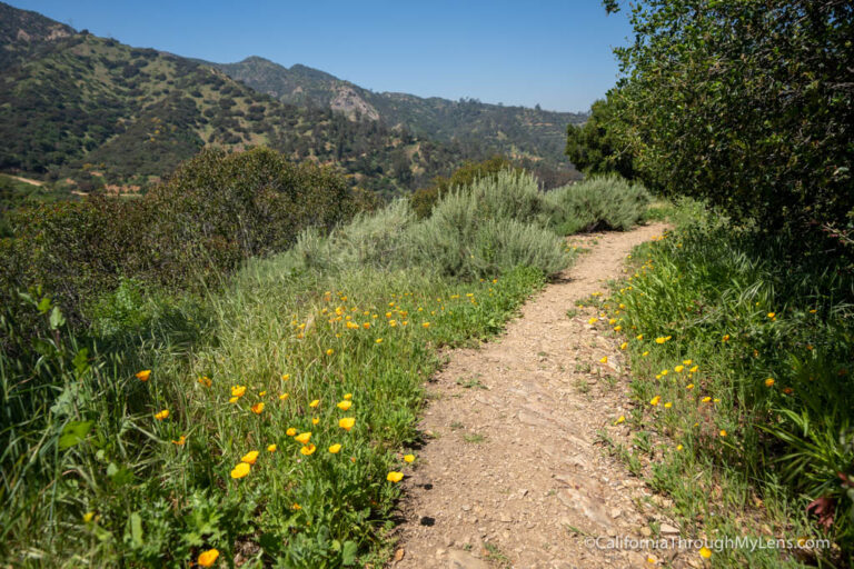 Griffith Park Traverse: Hiking 11 Peaks Across the Park - California ...