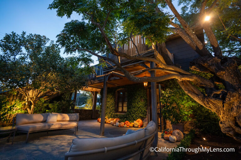 French Laundry in Napa: What it is like to eat at the World's Best ...