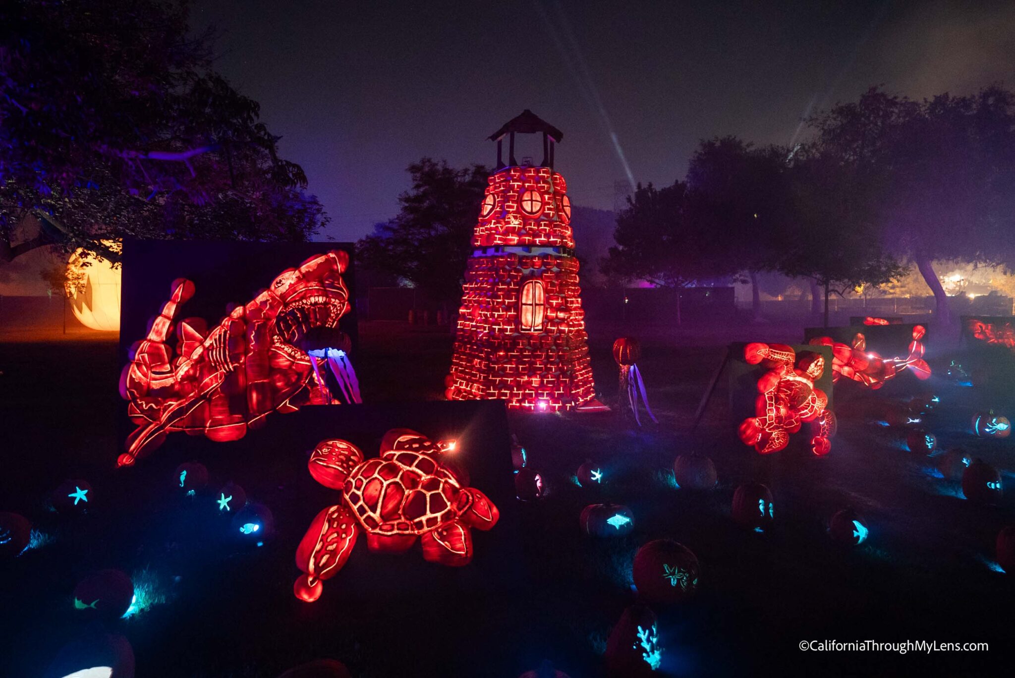 Experience the Magic of the Jack O'Lanterns Event in Los Angeles ...