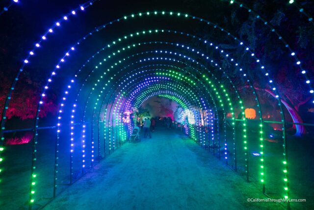 Experience the Magic of the Jack O'Lanterns Event in Los Angeles - California Through My Lens