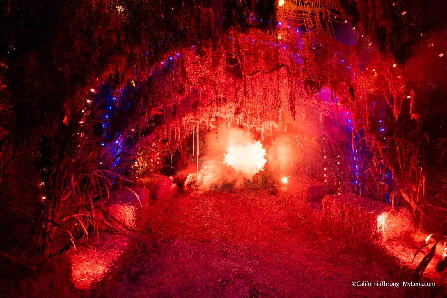 Riding the Haunted Hayride in Los Angeles: One of the cities best ...